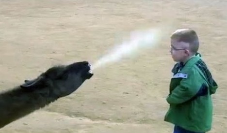 Ten ways to Protect against the Evil Eye – Read more in my new book ...